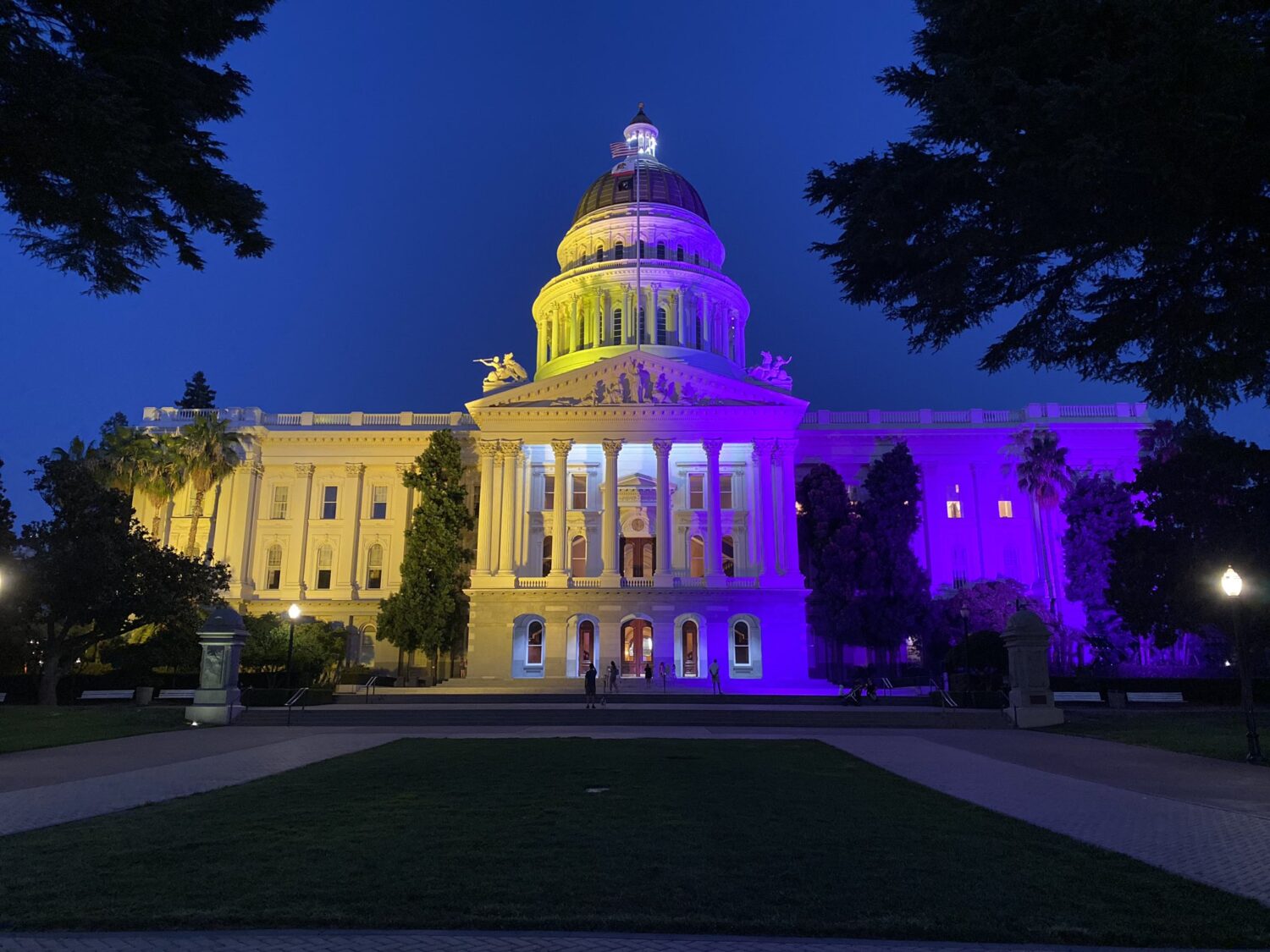 The Purple State Problem - The Brandeis Hoot