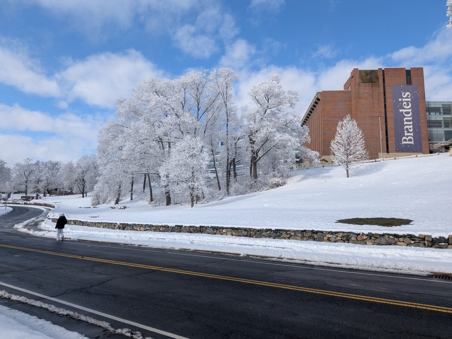 Hoot Recommends: What to do in the snow - The Brandeis Hoot